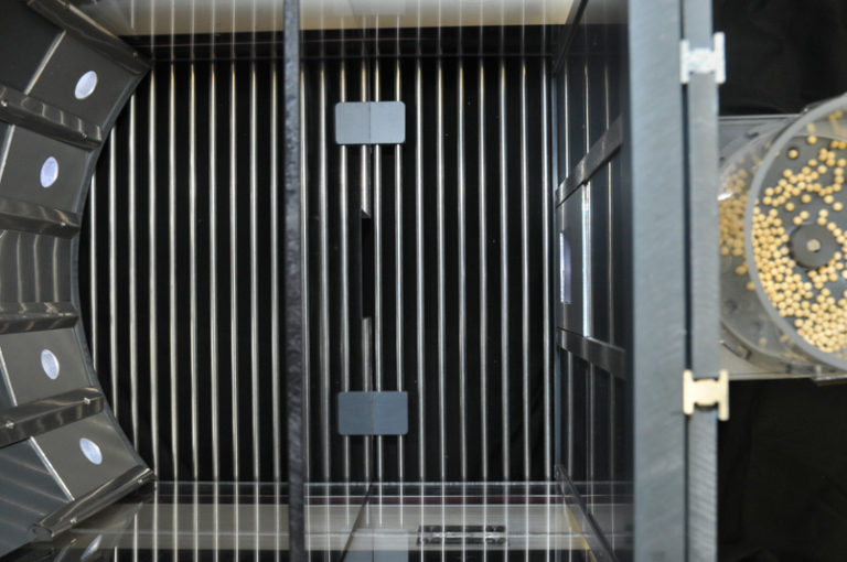 Rat Gambling Task - Imetronic